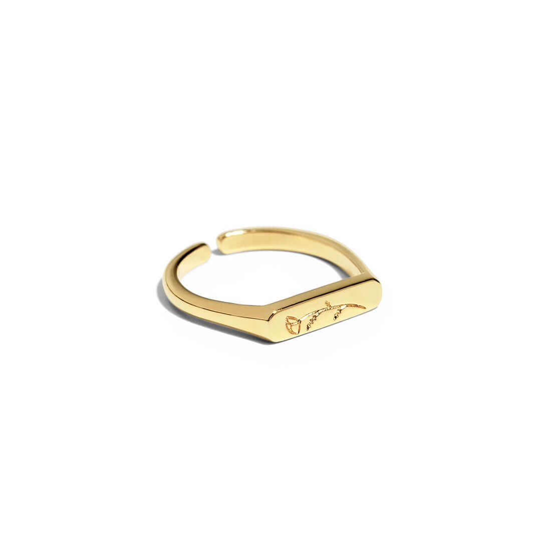 Bar Ring