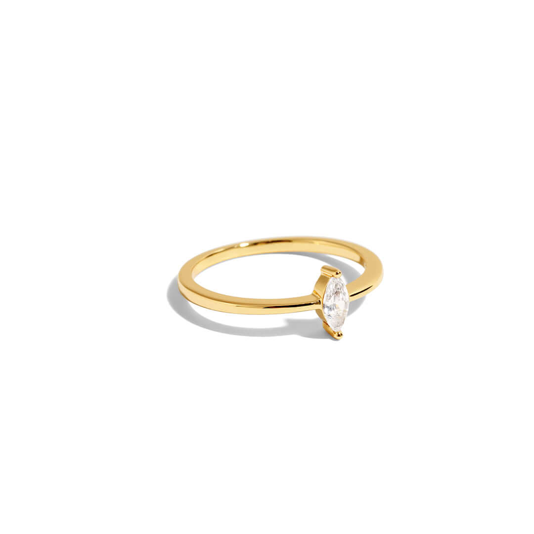 Lee Ring